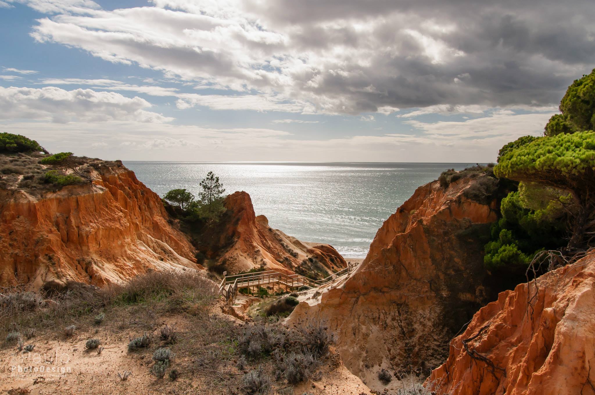 Como Criar Ponto Focal Eficazes na Fotografia: Dicas de Composição ...