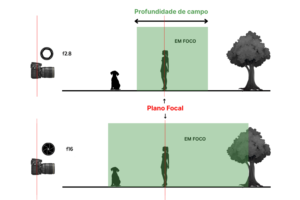 Ponto de Foco e Plano Focal — onde a nitidez acontece - Blog