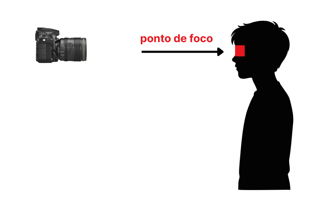 Ponto de Foco e Plano Focal — onde a nitidez acontece - Blog